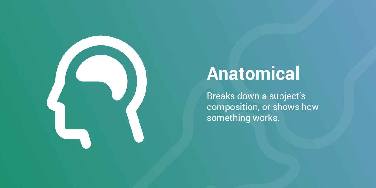 12 Most Common Types of Infographics - Infogram