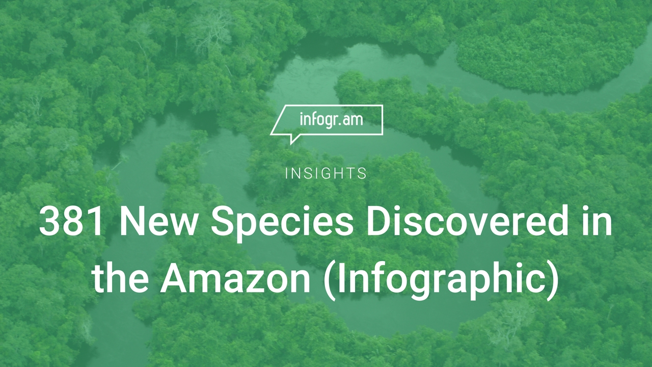 amazon infographic twit - Infogram