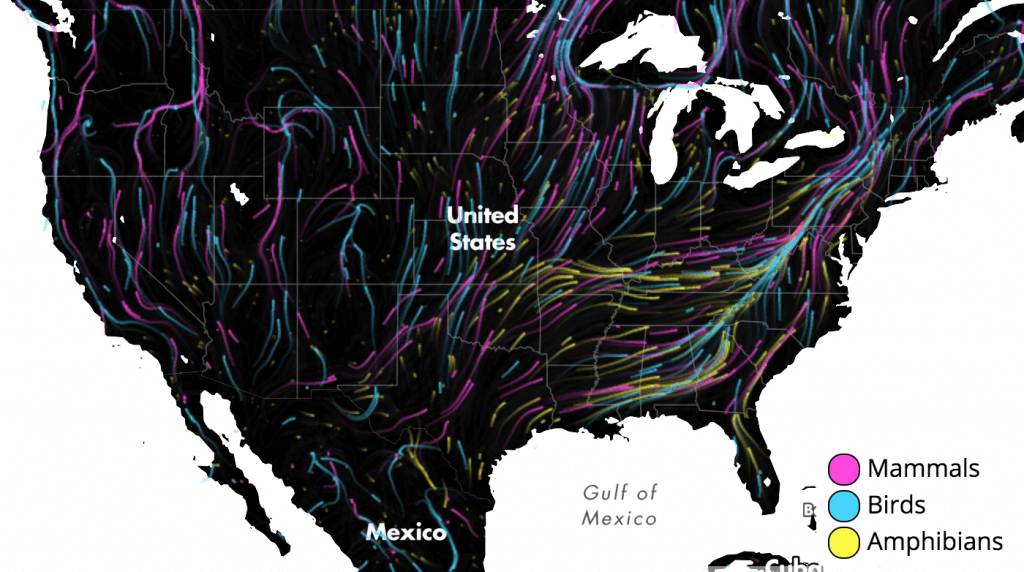21 Mind-Blowing Map Examples from the Web - Infogram
