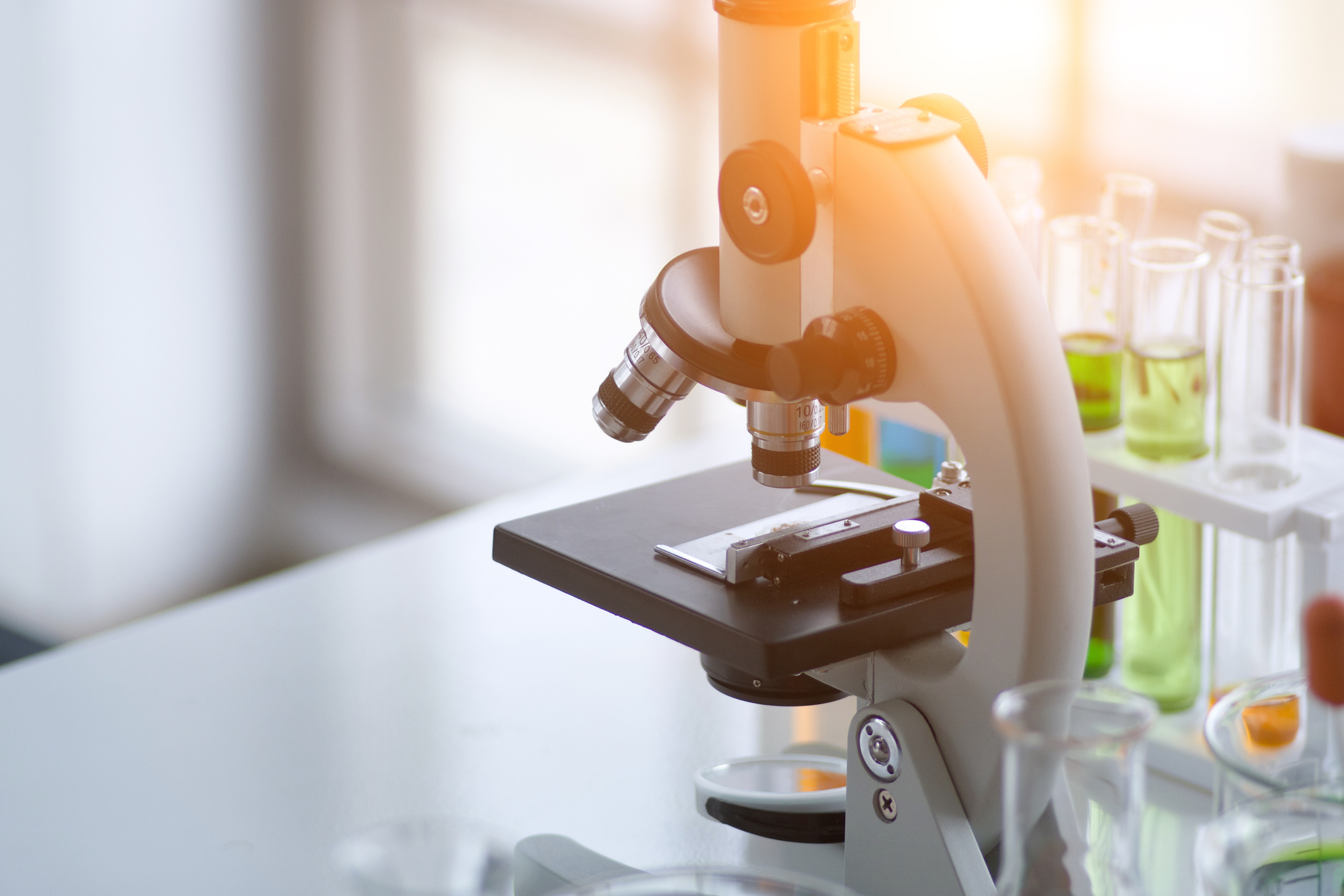 The largest players of Big Pharma (infographic) | Infogram