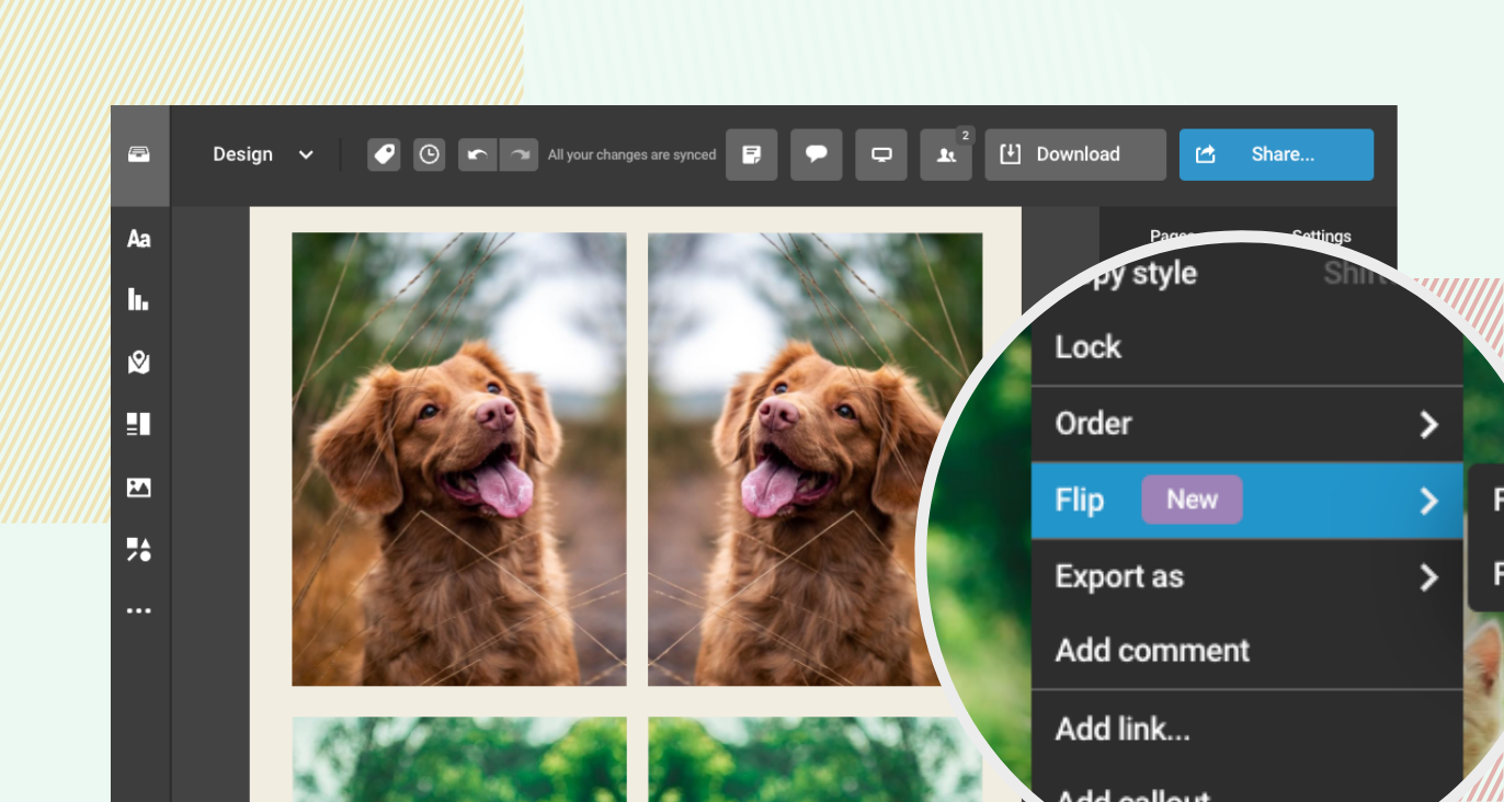 Introducing Image Flipping | Infogram