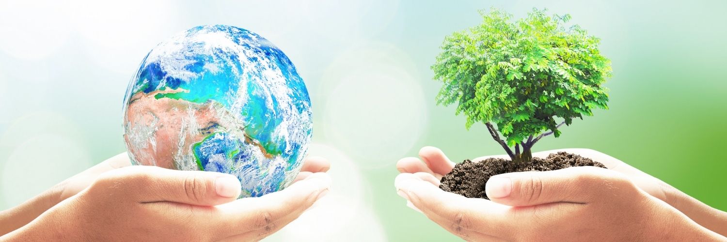 Environmental Data Visualization for Clearer Insights - Infogram